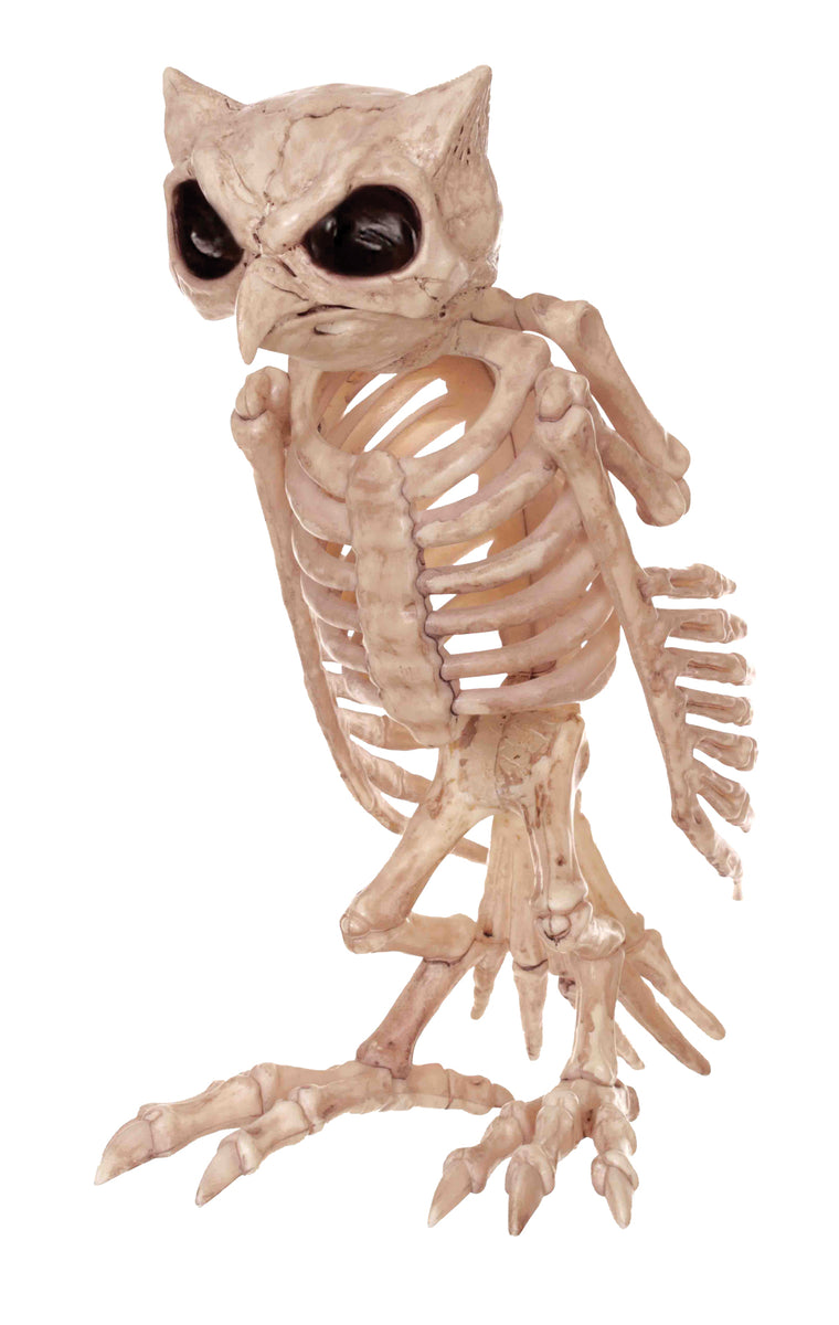 Skeleton Owl Prop – The Life of the Party
