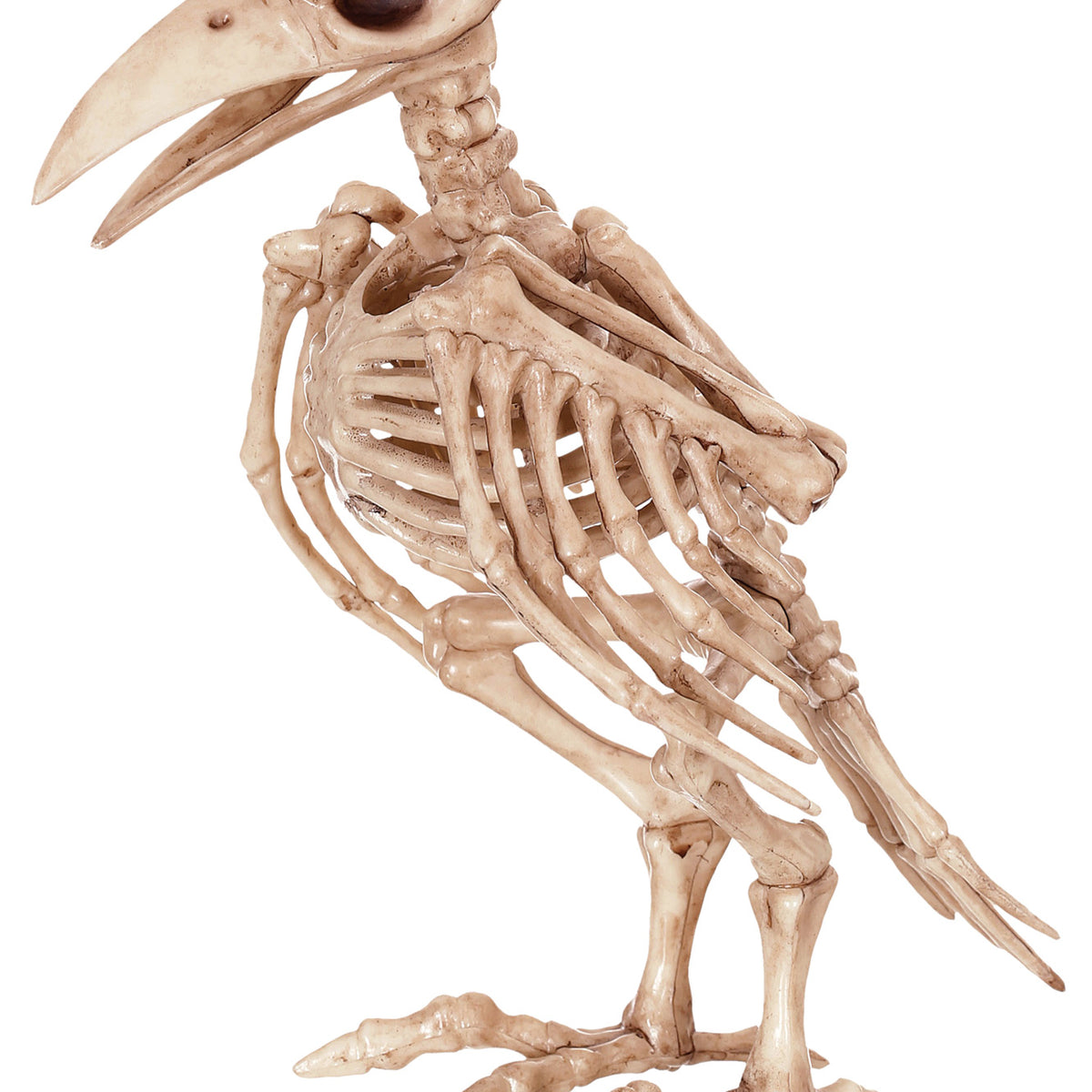 Skeleton Raven Prop – The Life of the Party